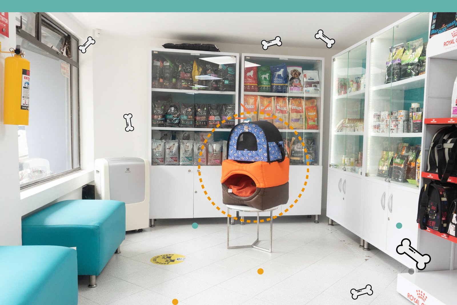 Tienda de mascotas en Medellín | Puento Vet